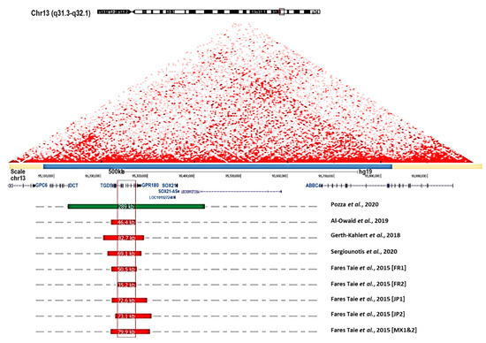 Congenital Microcoria: Clinical Features and Molecular Genetics