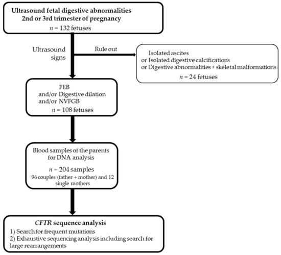 Prenatal Ultrasound Suspicion of Cystic Fibrosis in a Multiethnic ...