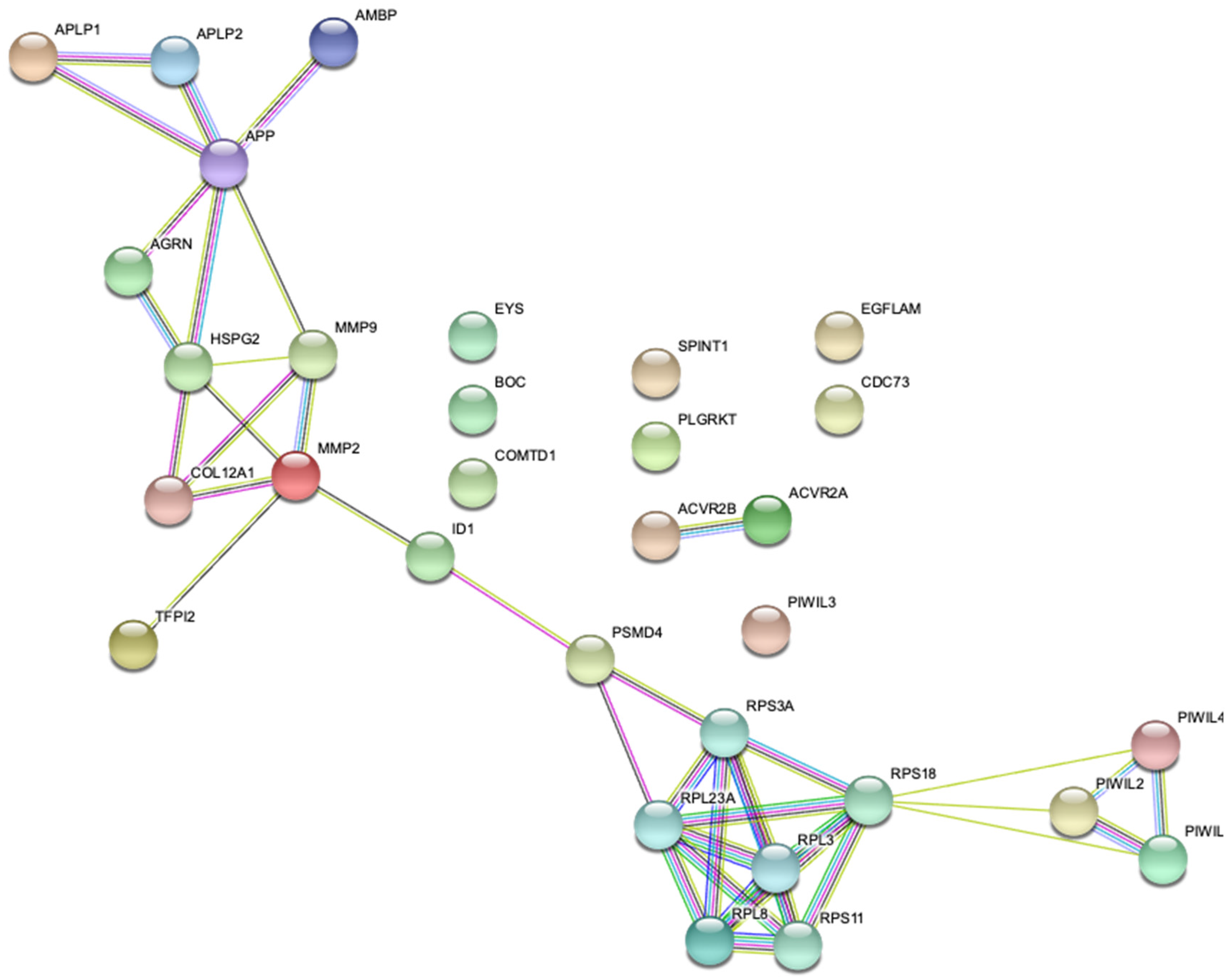 COL12A1 Single Nucleotide Polymorphisms rs240736 and rs970547 Are Not ...