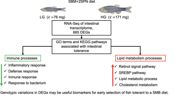 Genes | Free Full-Text | Intestinal Transcriptome Analysis Reveals ...