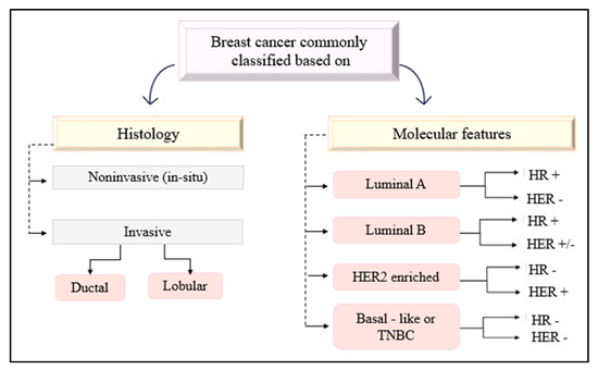 New Insights into the Therapeutic Applications of CRISPR/Cas9 Genome ...