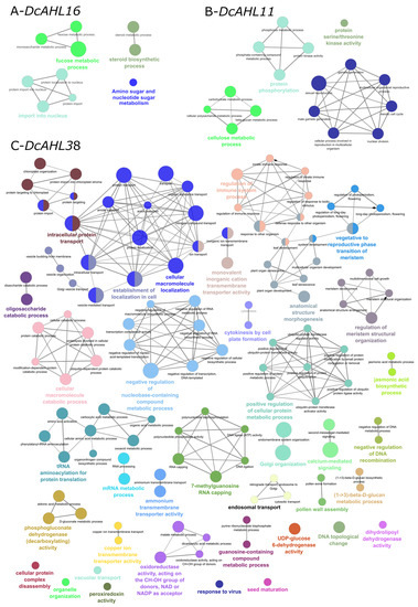 Characteristics of the AT-Hook Motif Containing Nuclear Localized (AHL ...