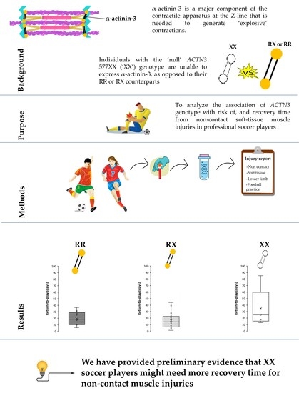 Genes | Special Issue : Genetics and Genomics in Sport