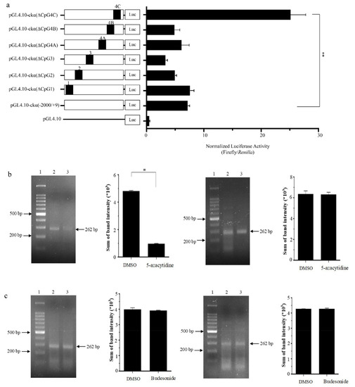 DNA Methylation of Human Choline Kinase Alpha Promoter-Associated CpG ...