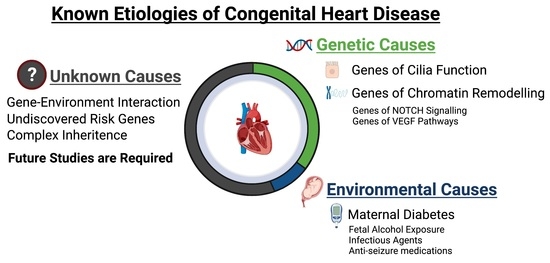 Genes | Free Full-Text | Molecular Genetics and Complex Inheritance of ...