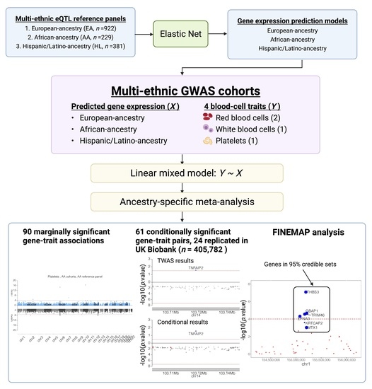 Genes | Free Full-Text | Transcriptome-Wide Association Study of Blood ...
