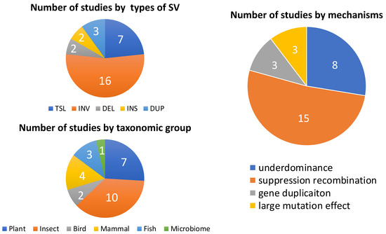 How Important Are Structural Variants for Speciation?