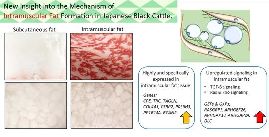 Genes | Free Full-Text | Gene Expression Analysis Provides New Insights ...