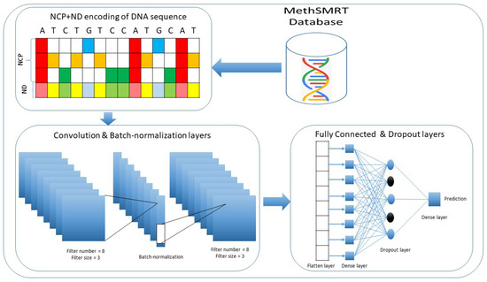 Genes | Special Issue : Artificial Intelligence Applications in ...