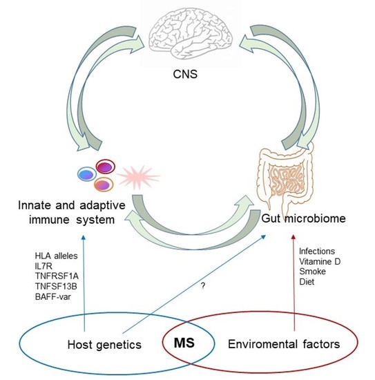 Genes | Special Issue : Beyond GWAS: Deciphering Multiple Sclerosis ...