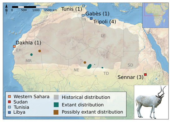 Diversity and Paleodemography of the Addax (Addax nasomaculatus), a ...