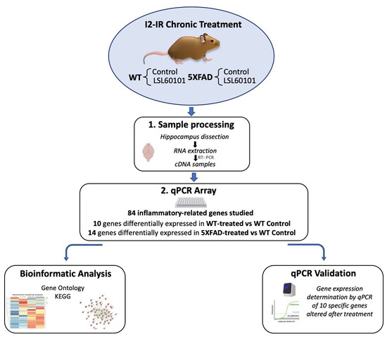 Microarray Analysis Revealed Inflammatory Transcriptomic Changes after LSL60101 Treatment in ...