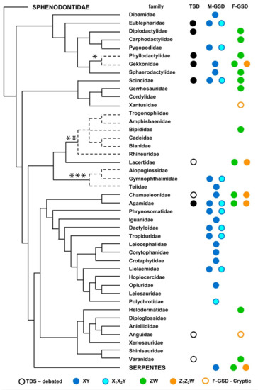 Lizards as Model Organisms of Sex Chromosome Evolution: What We Really ...