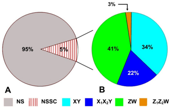 Lizards as Model Organisms of Sex Chromosome Evolution: What We Really ...