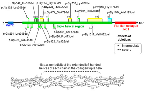 A Novel Splicing Variant of COL2A1 in a Fetus with Achondrogenesis Type ...