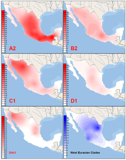 Genes | Free Full-Text | The Mitochondrial DNA Landscape of Modern Mexico
