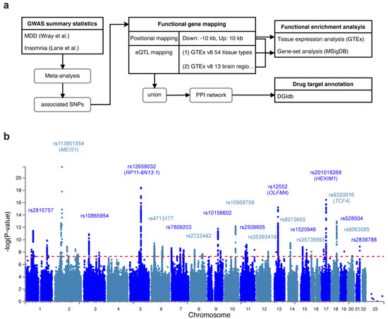 GWAS Meta-Analysis Reveals Shared Genes and Biological Pathways between ...