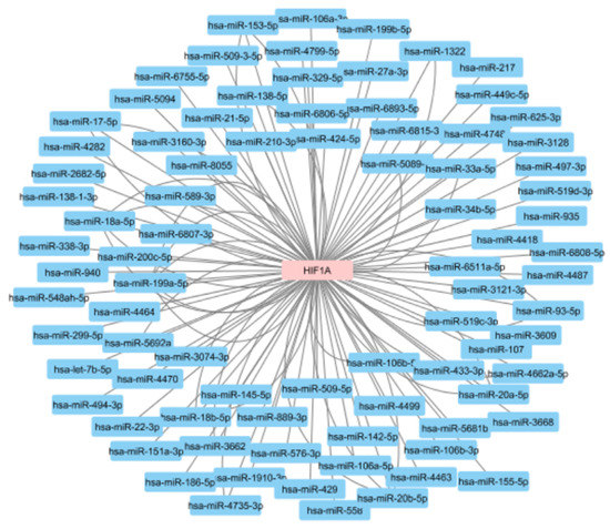 Integrative Map of HIF1A Regulatory Elements and Variations