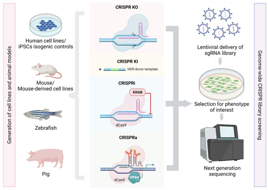 Interrogating Mitochondrial Biology and Disease Using CRISPR/Cas9 Gene ...