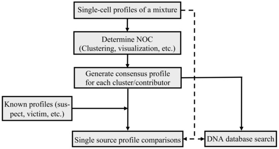 Genes | Free Full-Text | Precision DNA Mixture Interpretation with ...