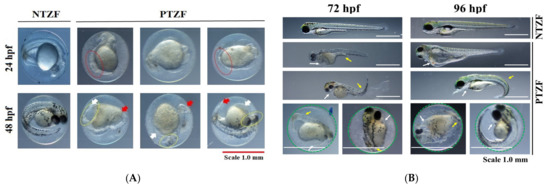 Transcriptome-Based Identification of Genes Responding to the ...