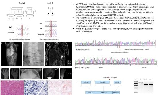 Genes | Free Full-Text | Phenotypic Variability of MEGF10 Variants ...