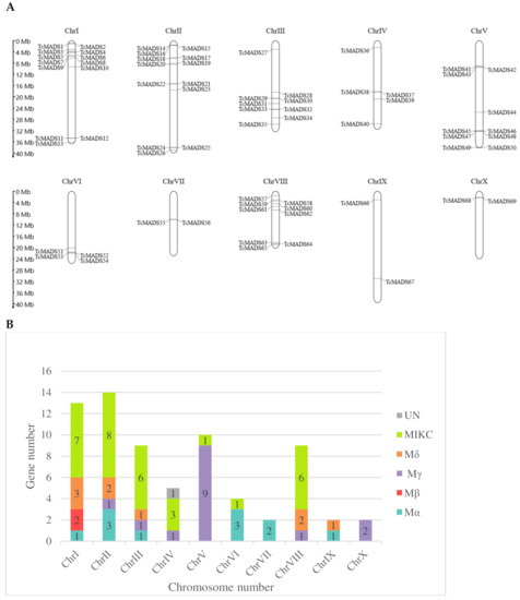 Genome-Wide Identification and Analysis of the MADS-Box Gene Family in ...
