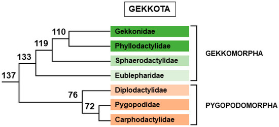 Genes Free Full Text Sex Chromosomes And Master Sex Determining