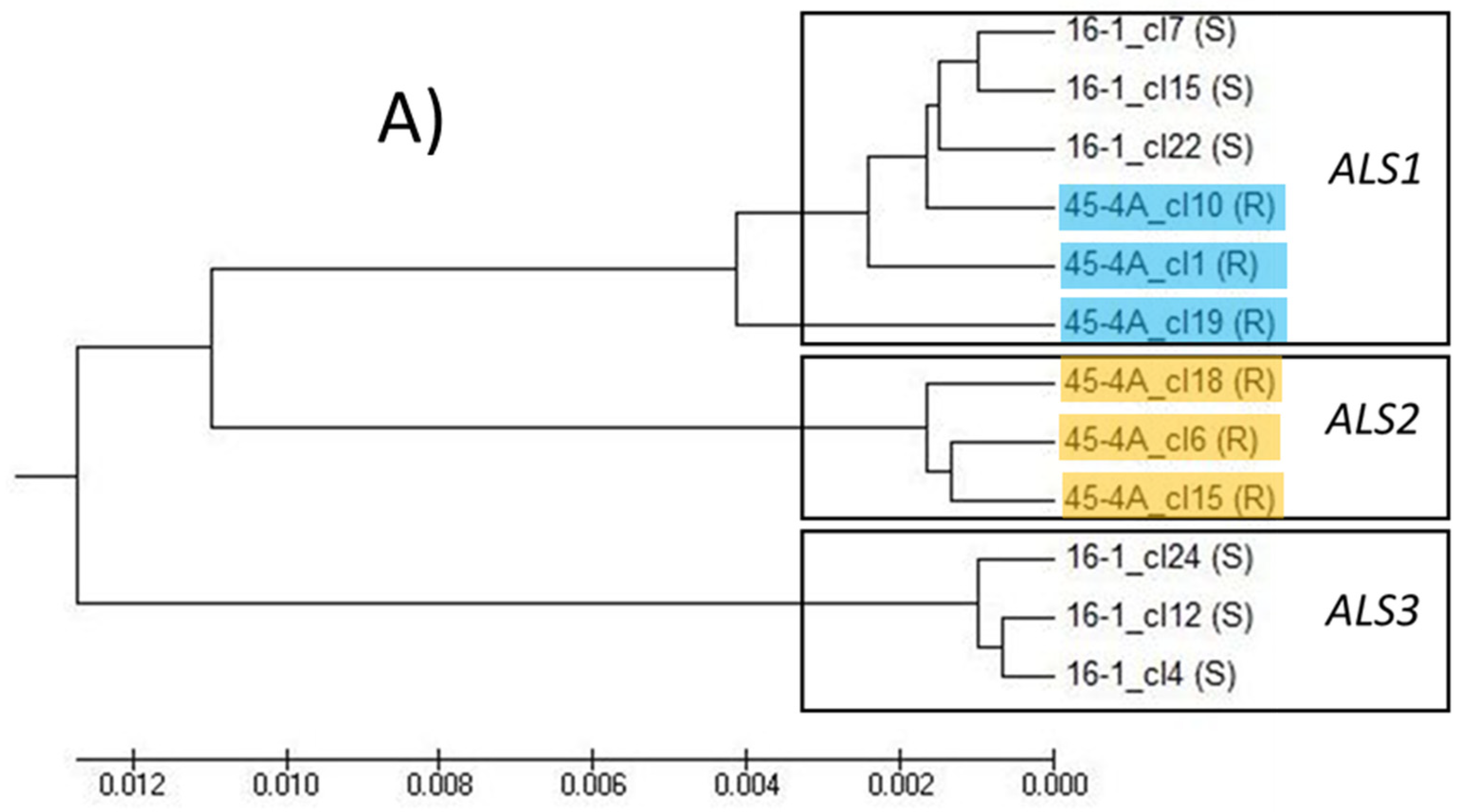Target-Site Mutations and Expression of ALS Gene Copies Vary According ...