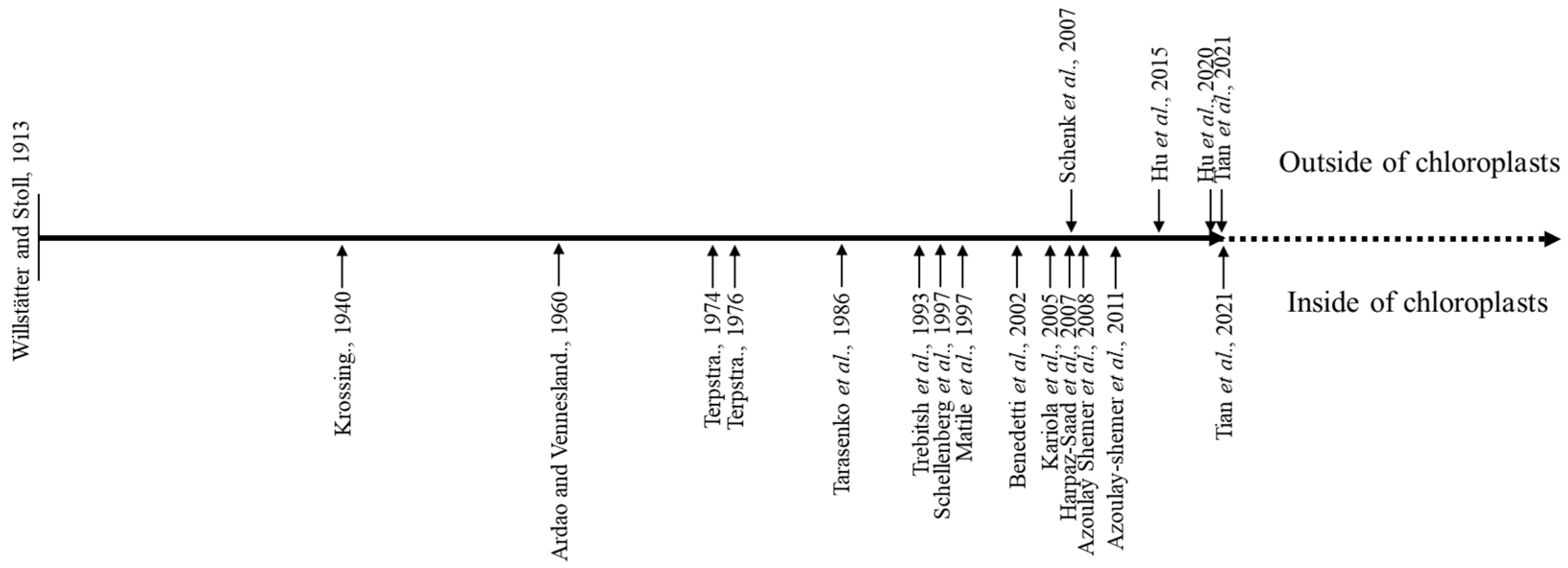 Chlorophyllase, a Common Plant Hydrolase Enzyme with a Long History, Is ...