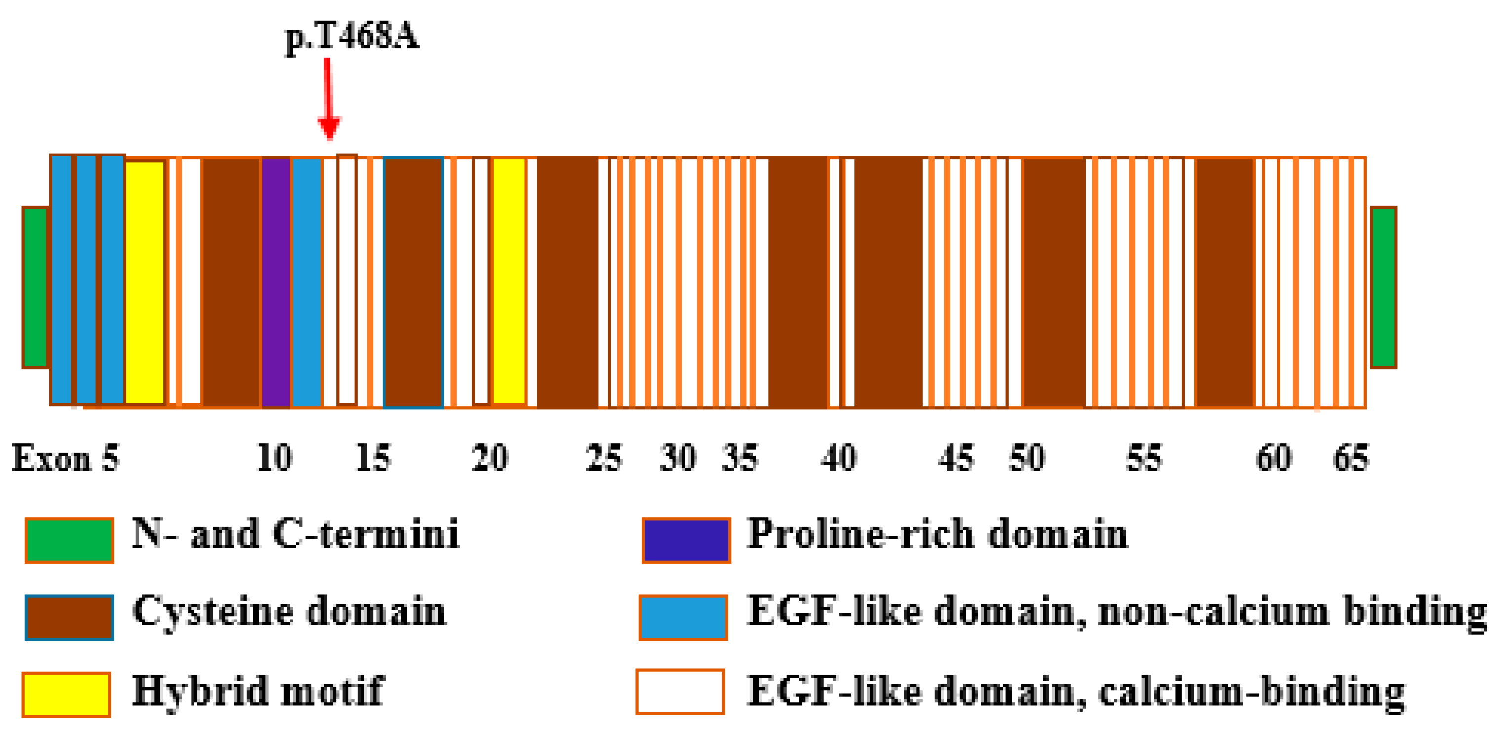 Exome Sequencing Identifies a Novel FBN1 Variant in a Pakistani Family ...