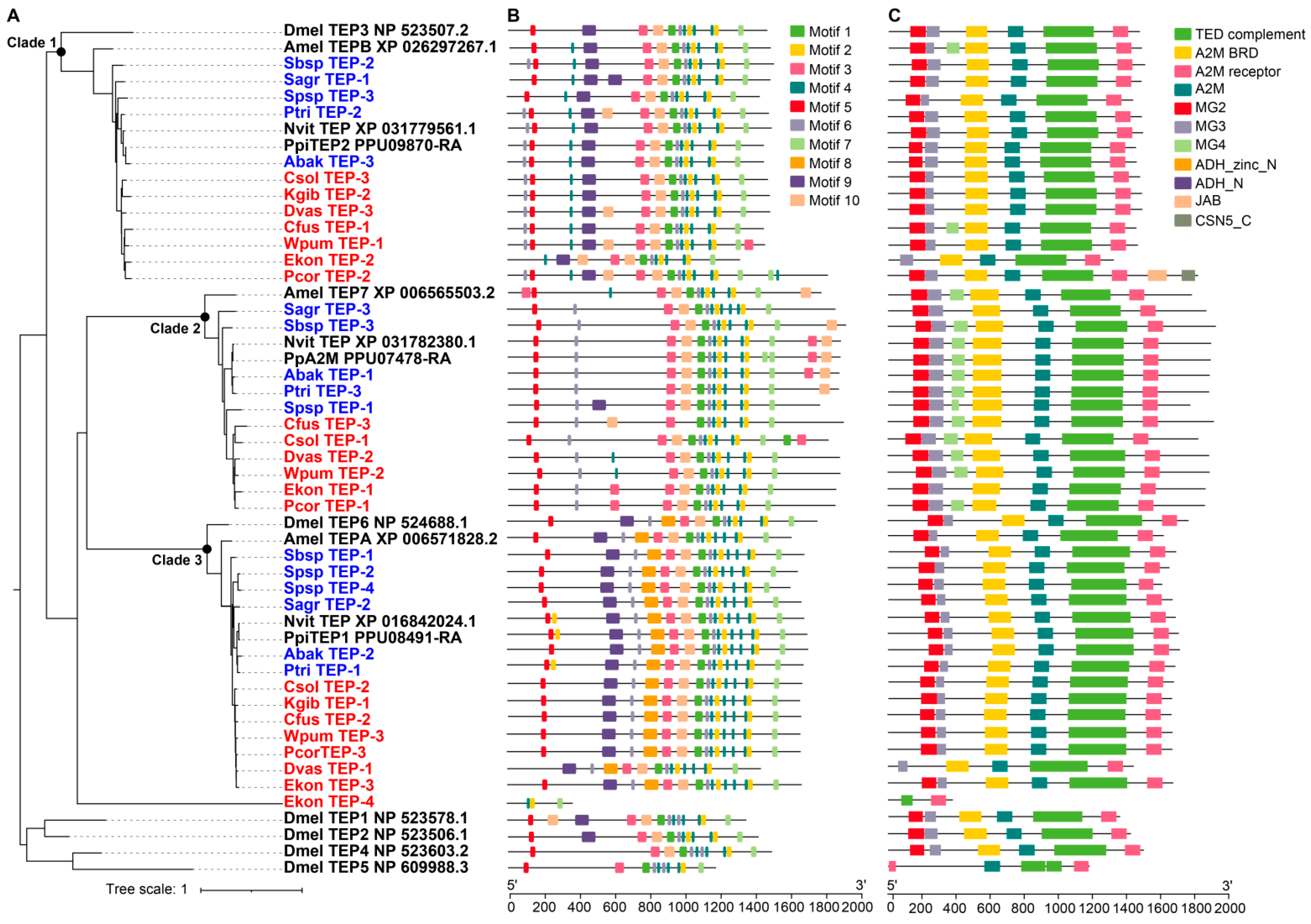 Genome-Wide Analysis of Gene Families of Pattern Recognition Receptors ...