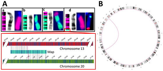 Optical Genome Mapping in Routine Human Genetic Diagnostics—Its ...
