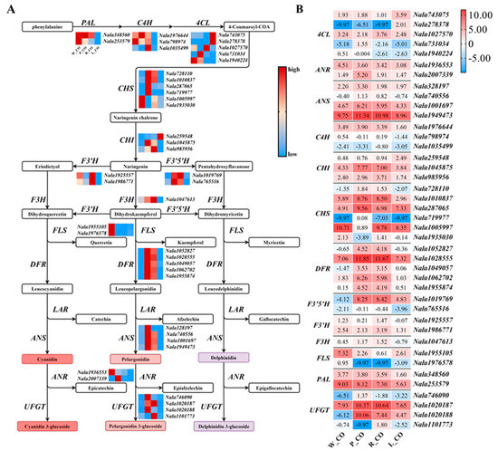 Important Roles of Key Genes and Transcription Factors in Flower Color ...