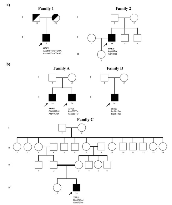 New Mutations in HFE2 and TFR2 Genes Causing Non HFE-Related Hereditary ...