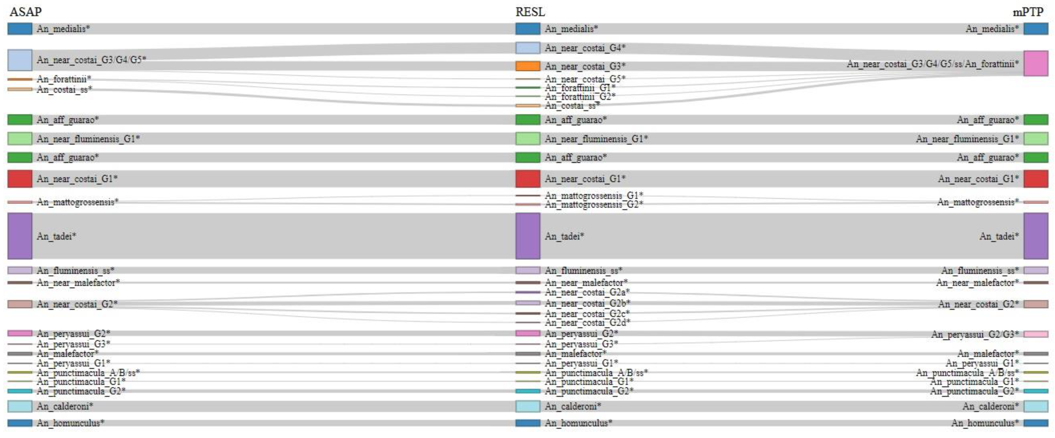 Molecular Analysis Reveals a High Diversity of Anopheline Mosquitoes in ...