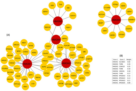 Spatial and Temporal Expression of High-Mobility-Group Nucleosome ...