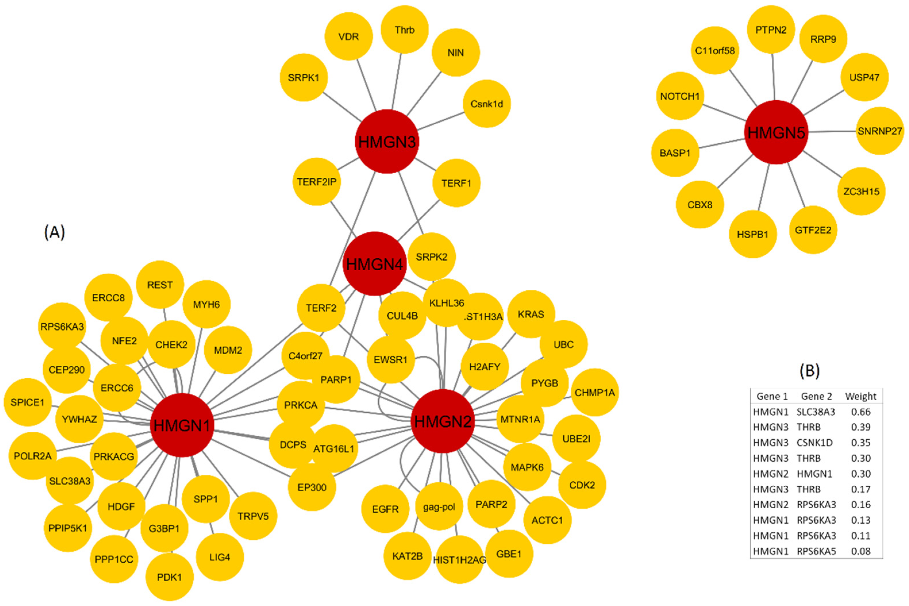 Spatial and Temporal Expression of High-Mobility-Group Nucleosome ...