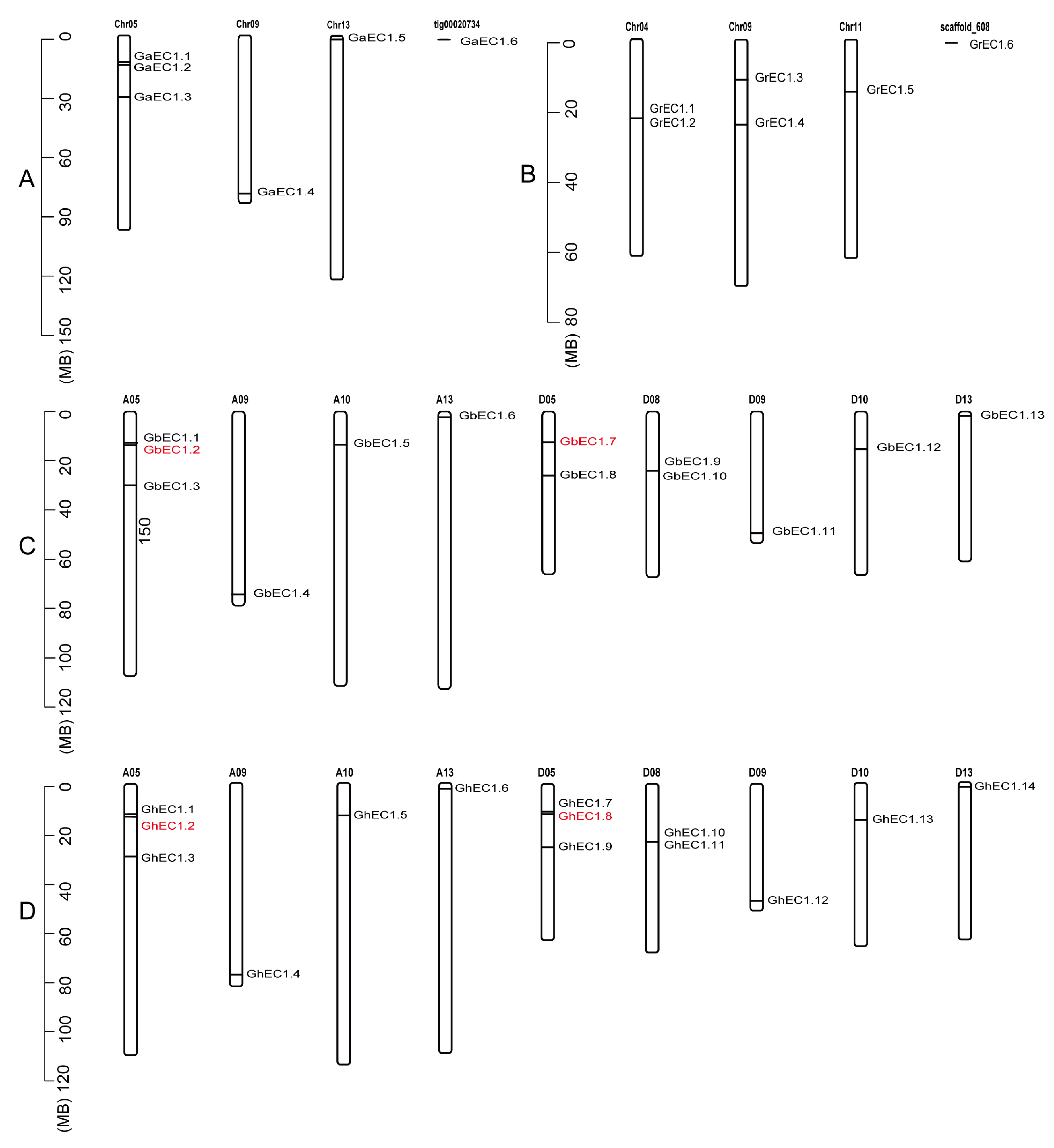 The Evolution and Expression Profiles of EC1 Gene Family during ...