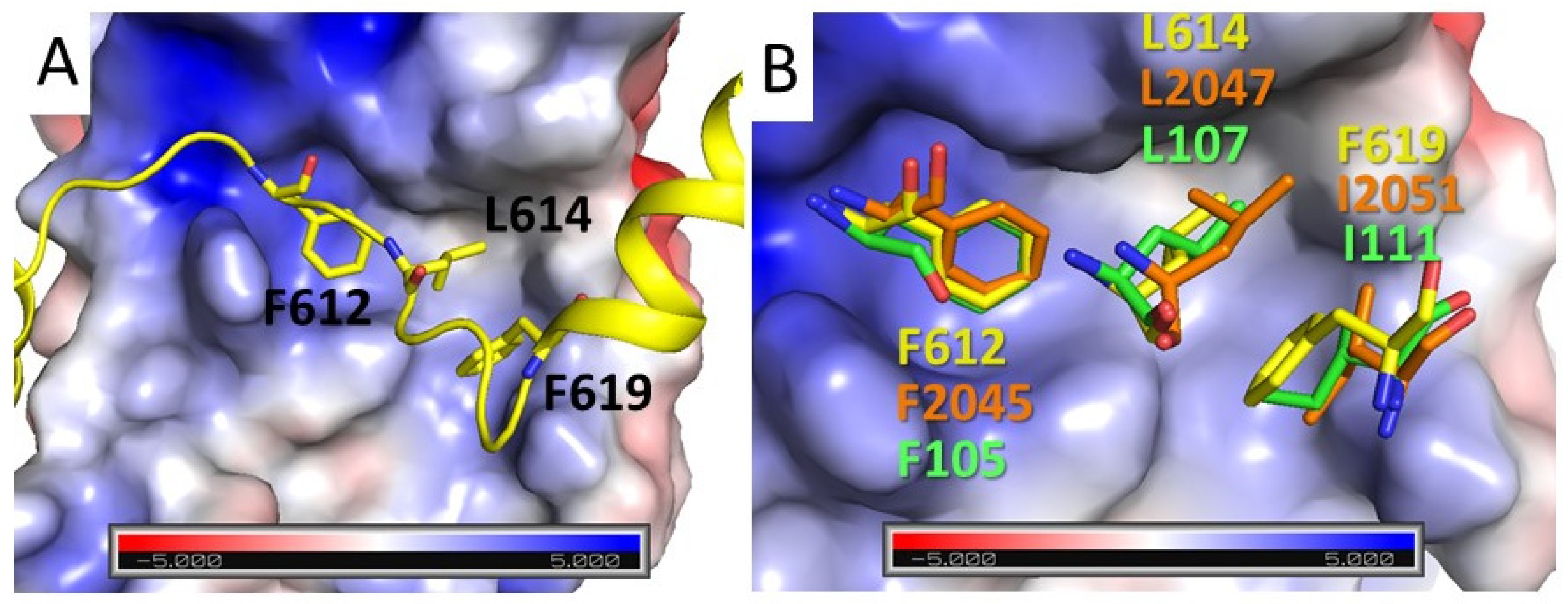 Structural Insight into the Mechanism of PALB2 Interaction with MRG15