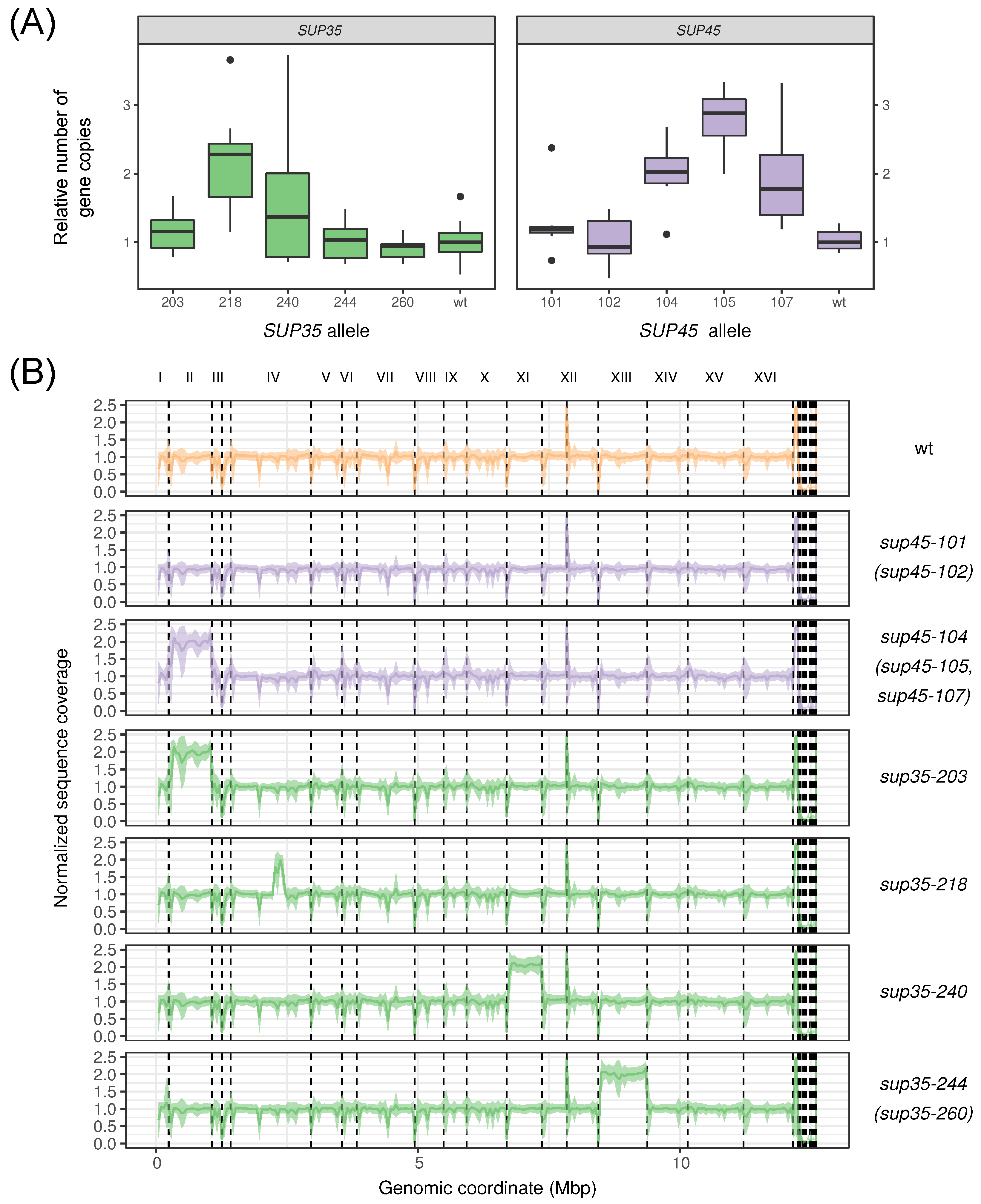 Gene Amplification as a Mechanism of Yeast Adaptation to Nonsense ...