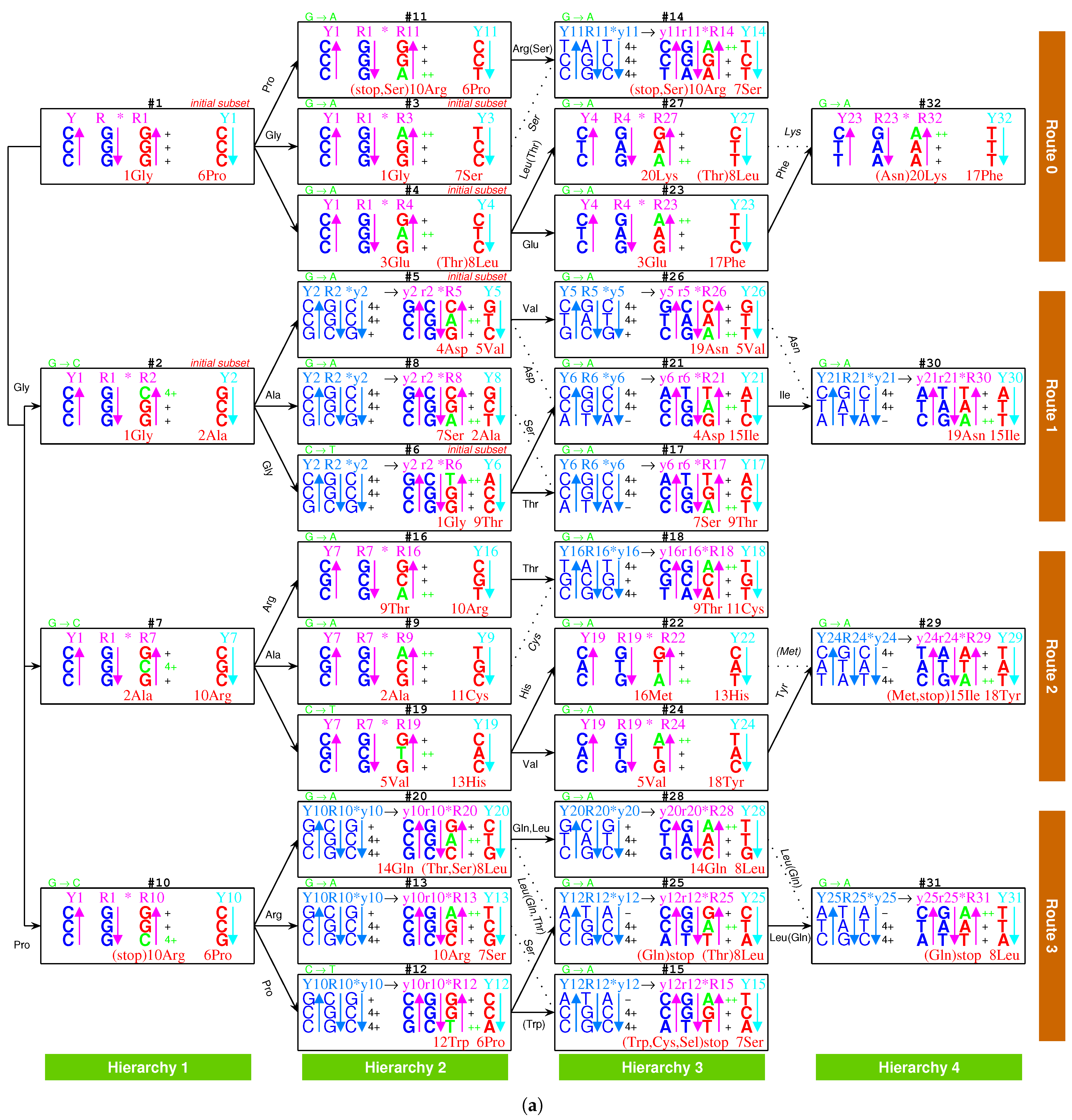 Formation of the Codon Degeneracy during Interdependent Development ...