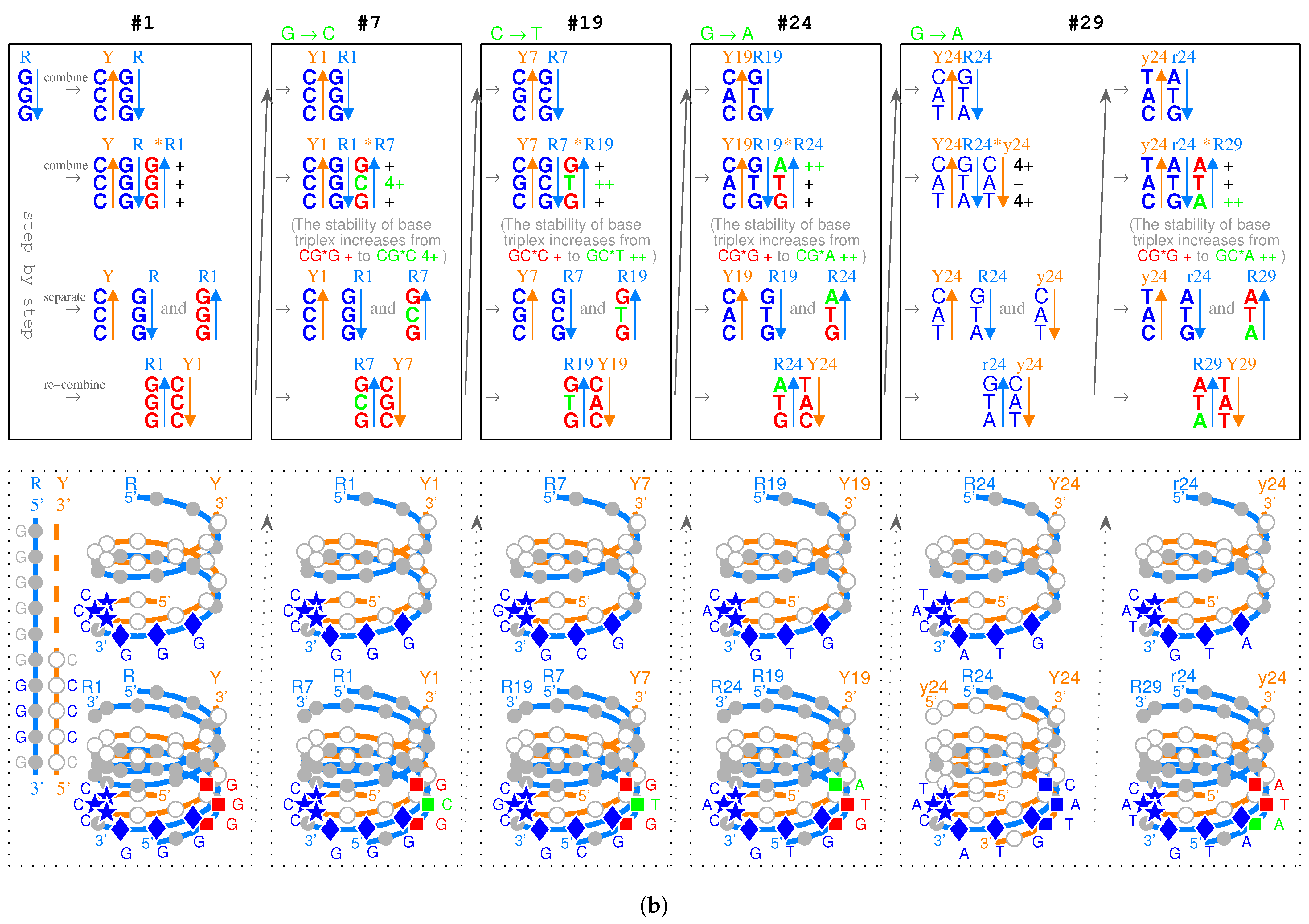 Formation of the Codon Degeneracy during Interdependent Development ...
