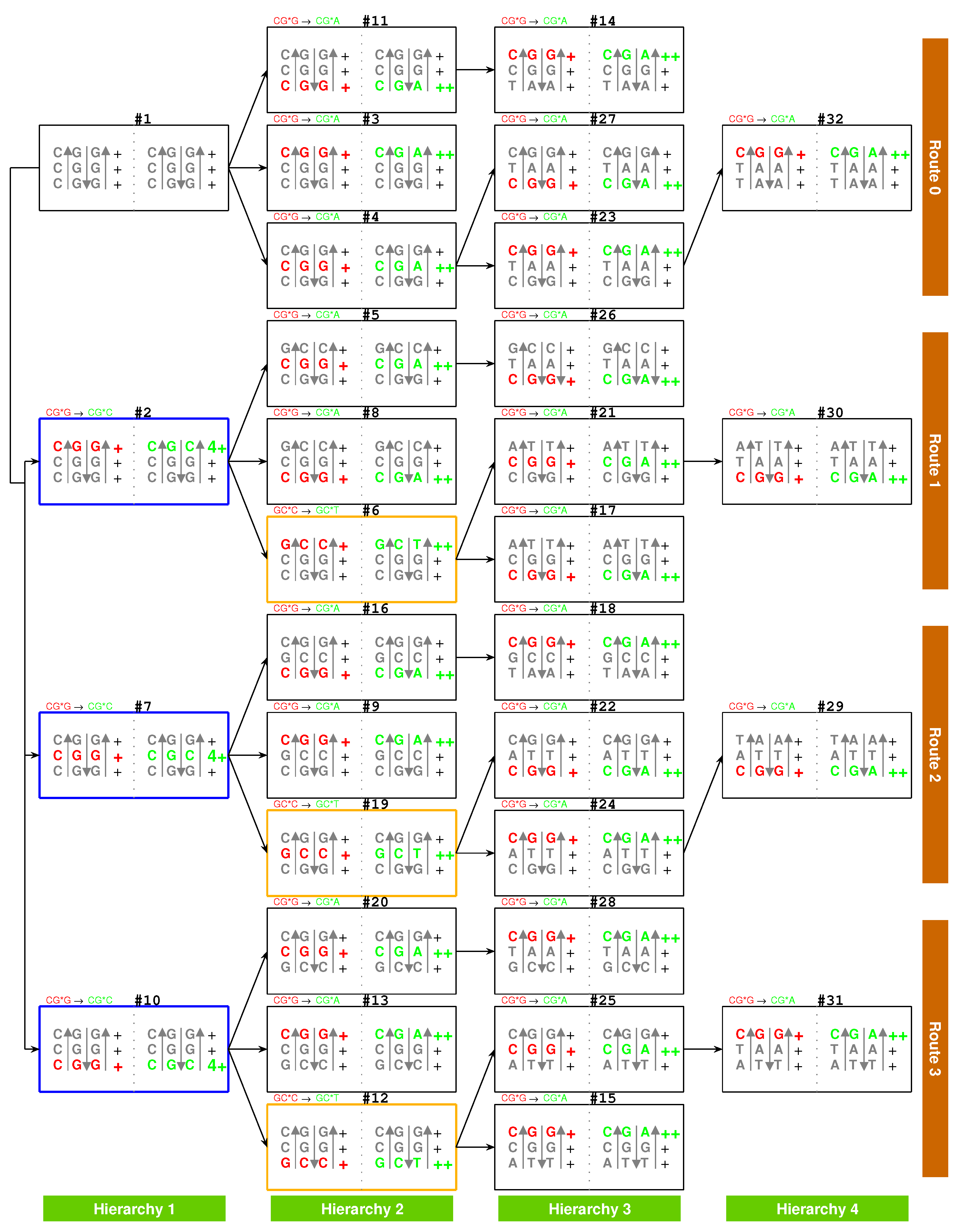 Formation of the Codon Degeneracy during Interdependent Development ...