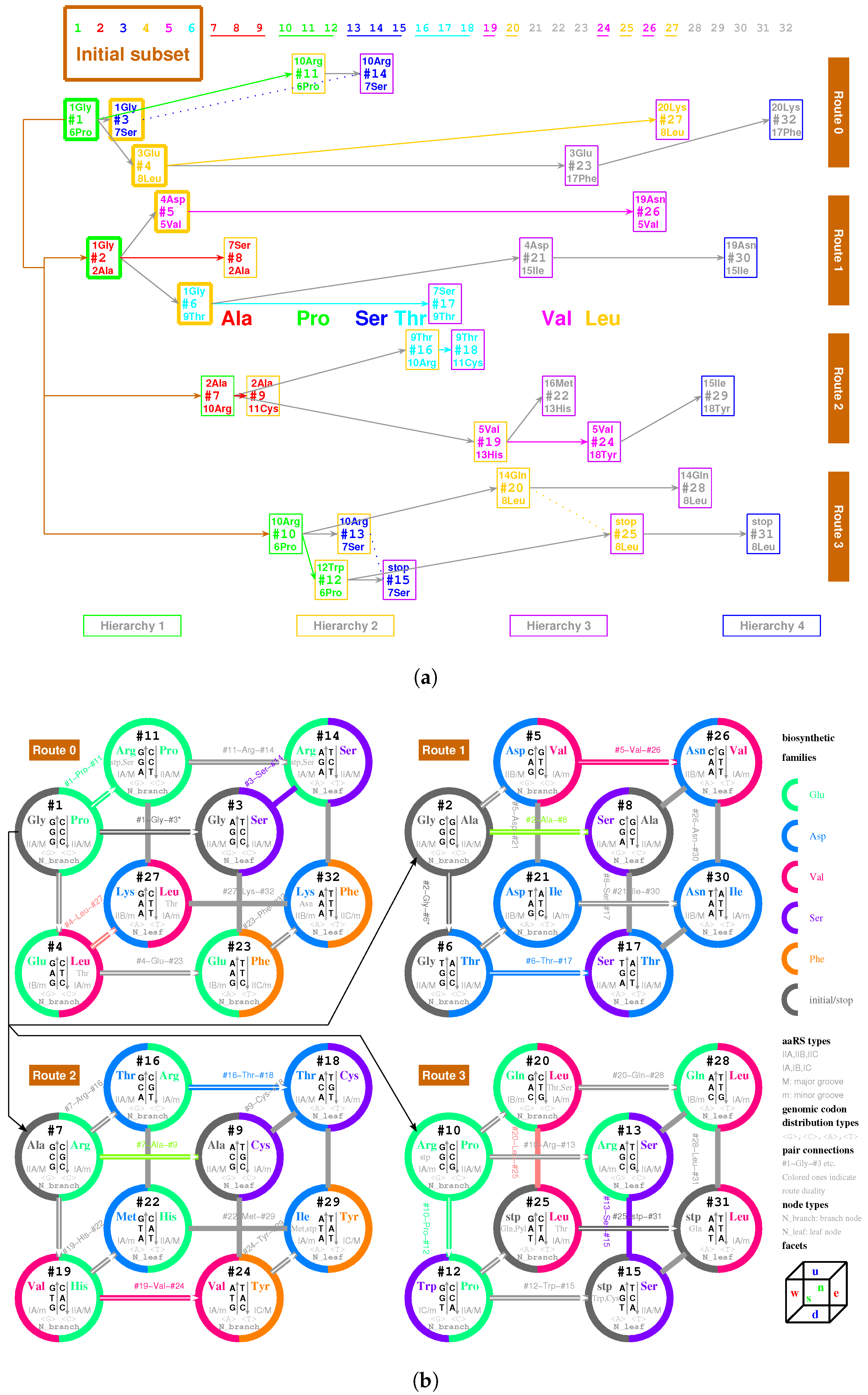 Formation of the Codon Degeneracy during Interdependent Development ...