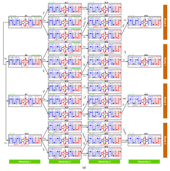 Formation of the Codon Degeneracy during Interdependent Development ...