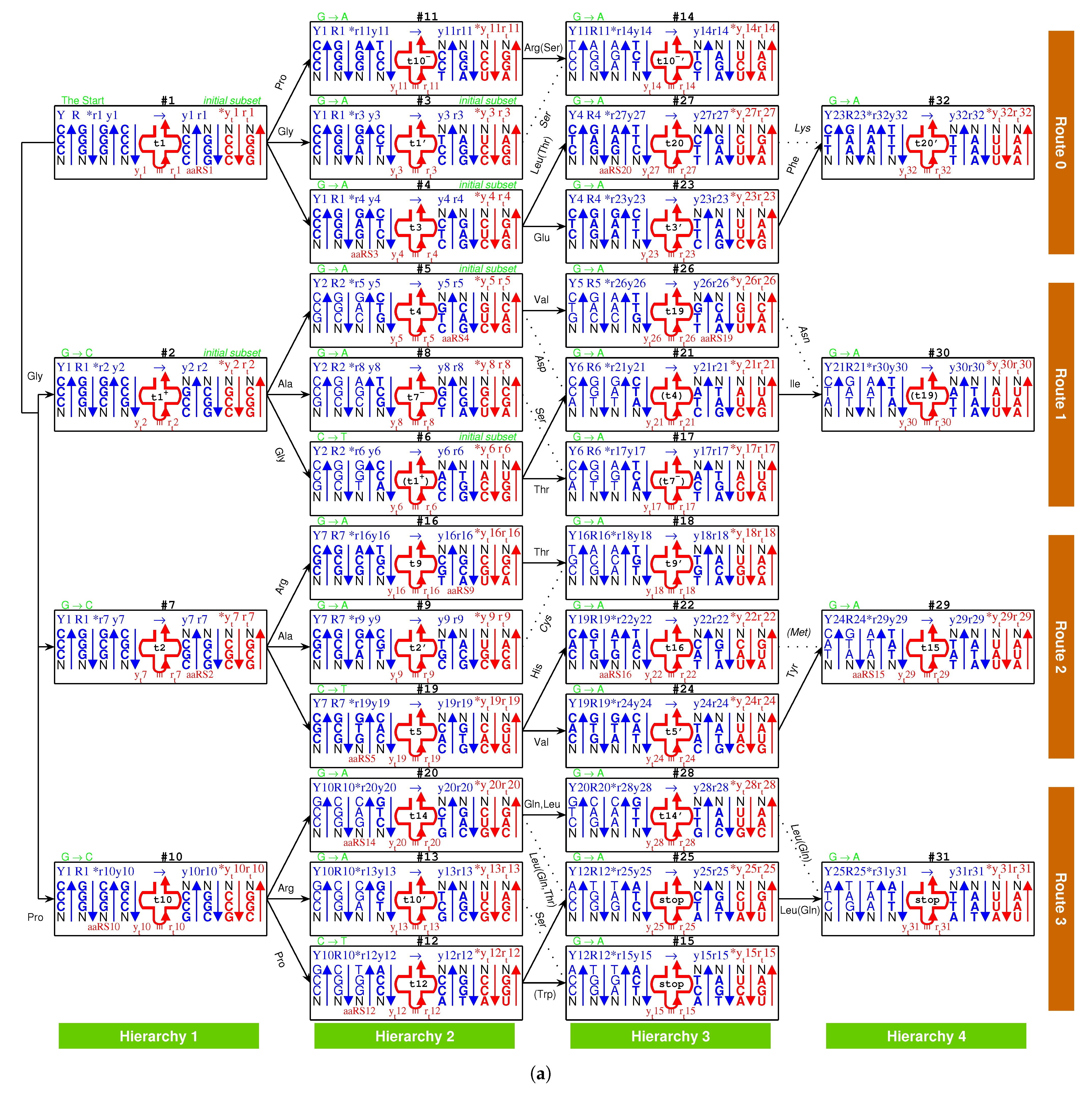 Formation of the Codon Degeneracy during Interdependent Development ...