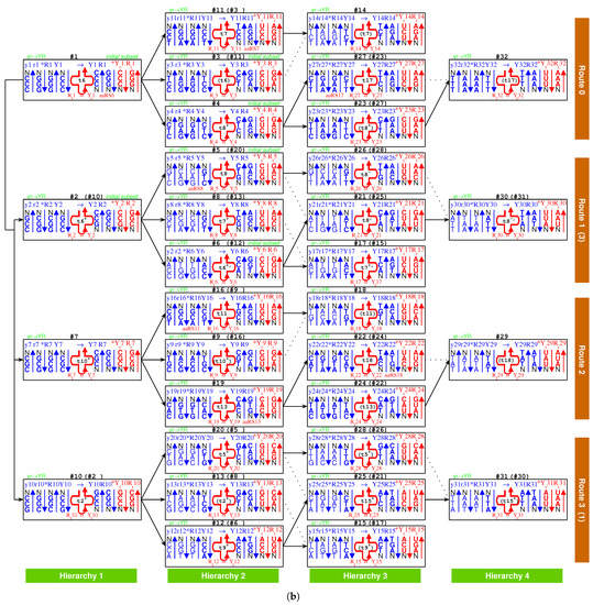 Formation of the Codon Degeneracy during Interdependent Development ...