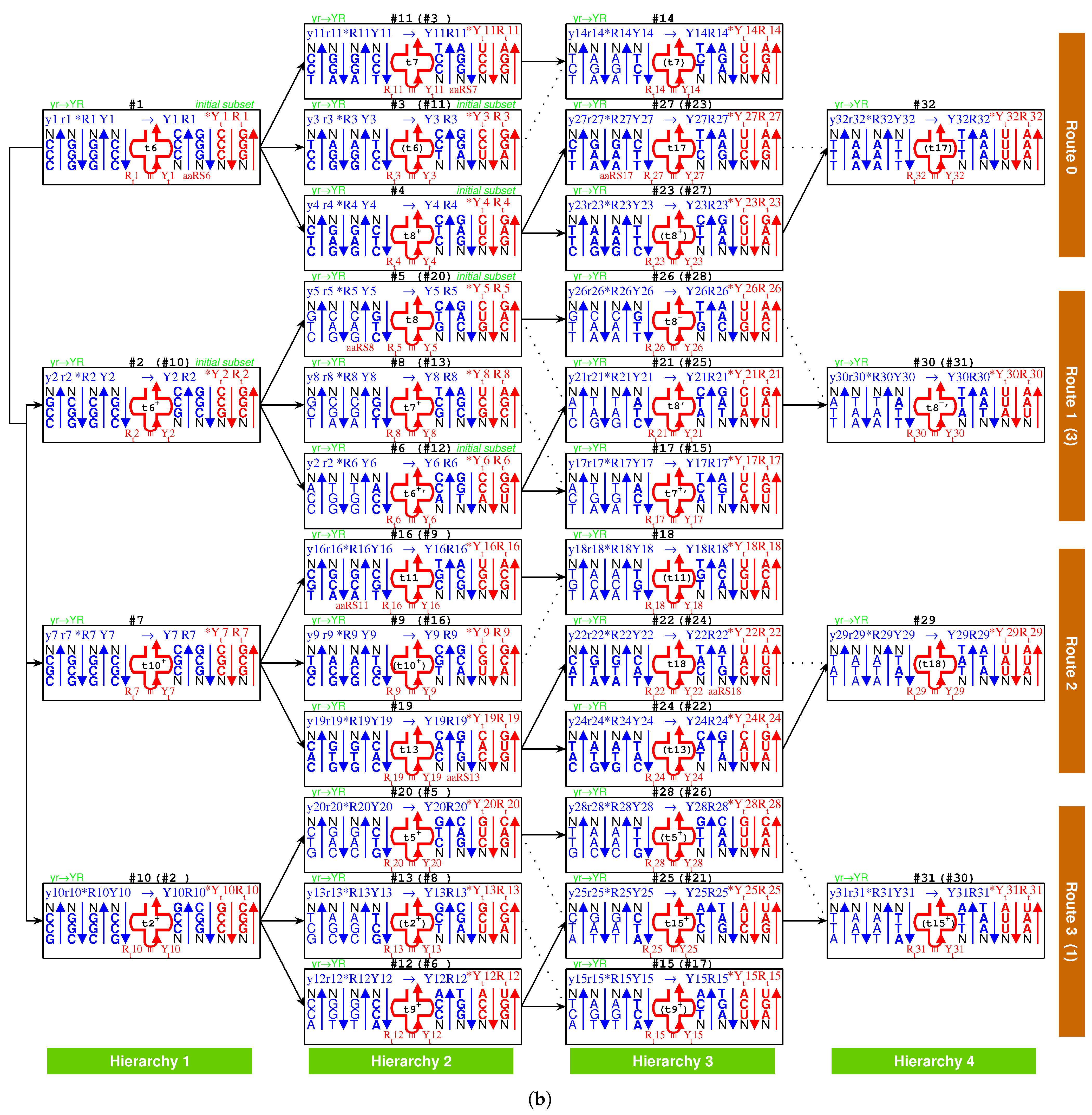 Formation of the Codon Degeneracy during Interdependent Development ...