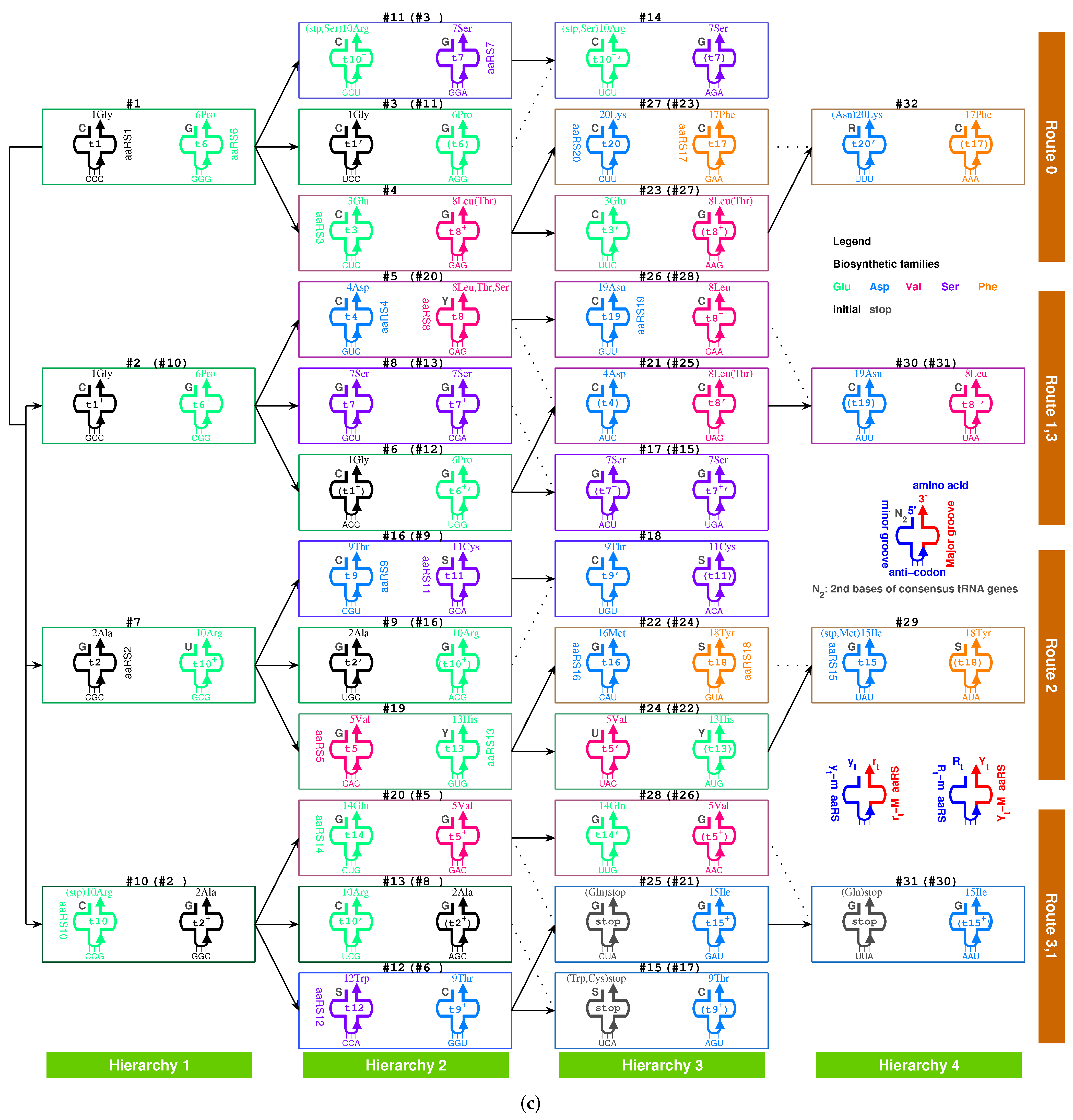 Formation of the Codon Degeneracy during Interdependent Development ...
